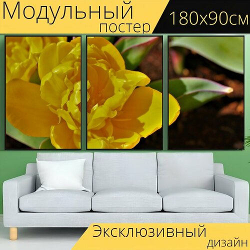 Модульный постер "Весна, цвести, желтый" 180 x 90 см. для интерьера
