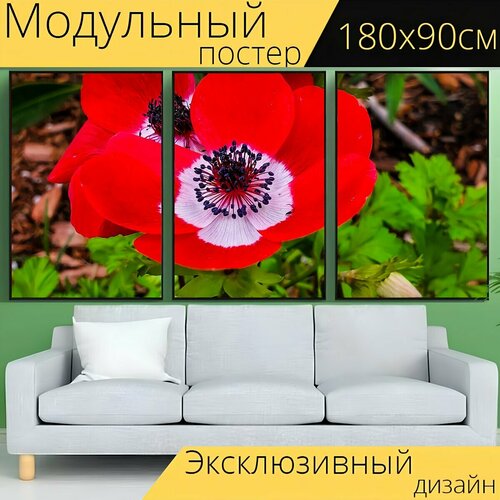 Модульный постер "Цветок весны, красный весенний цветок, весна" 180 x 90 см. для интерьера