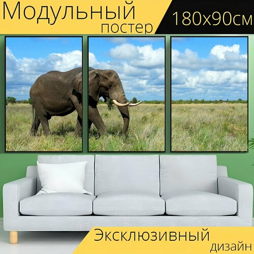 Модульный постер "Слон, национальный парк крюгера, южная африка" 180 x 90 см. для интерьера
