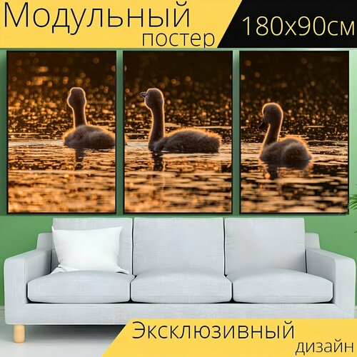 Модульный постер "Сигнетс, лебеди, озеро" 180 x 90 см. для интерьера