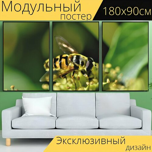 Модульный постер "Журчалки, насекомое, цветок" 180 x 90 см. для интерьера