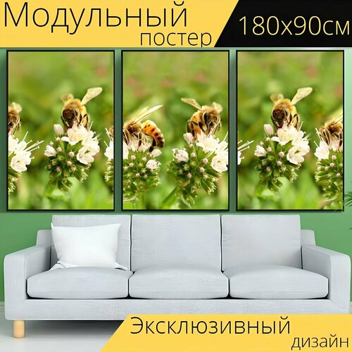 Модульный постер "Пчелы, насекомые, цветочная пыльца" 180 x 90 см. для интерьера