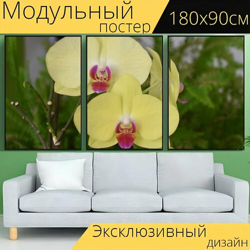 Модульный постер "Цветок, цветок орхидеи, орхидея желтого цвета" 180 x 90 см. для интерьера