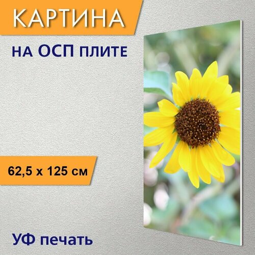 Вертикальная картина на ОСП "Желтый цветок, подсолнечник, цветок" 62x125 см. для интерьериа