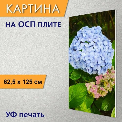 Вертикальная картина на ОСП "Цветок, природа, фиолетовый" 62x125 см. для интерьериа