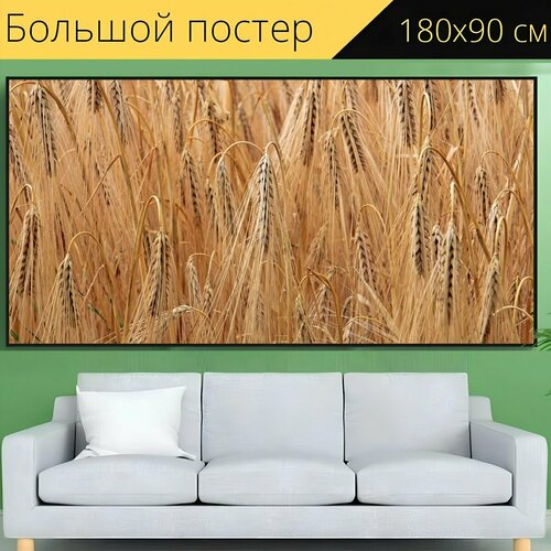 Большой постер "Зерно, зерновое поле, растения" 180 x 90 см. для интерьера