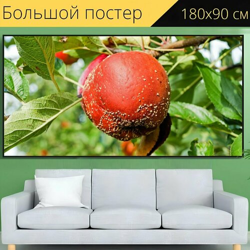 Большой постер "Яблоко, фрукты, ленивый" 180 x 90 см. для интерьера