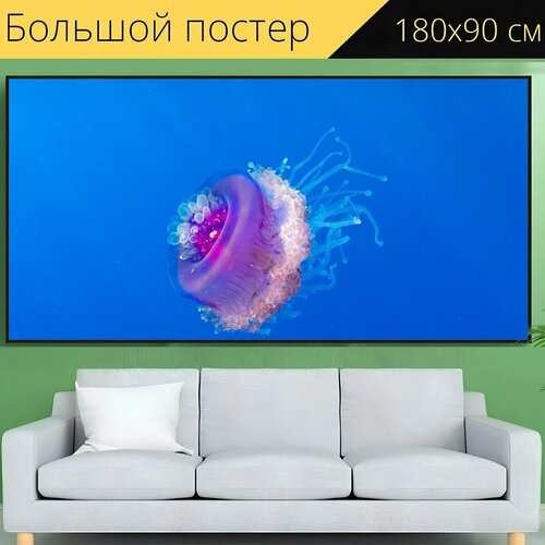 Большой постер "Дикой природы, медуза, рыбы" 180 x 90 см. для интерьера