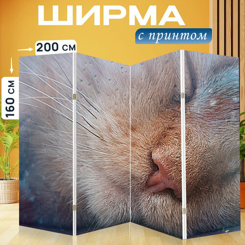 Ширма перегородка с принтом "Кот, талисман, животное" на холсте - 200x160 см. для зонирования, раскладная