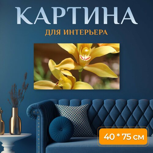 Картина на холсте "Орхидея, цветок, лепестки" на подрамнике 75х40 см. для интерьера