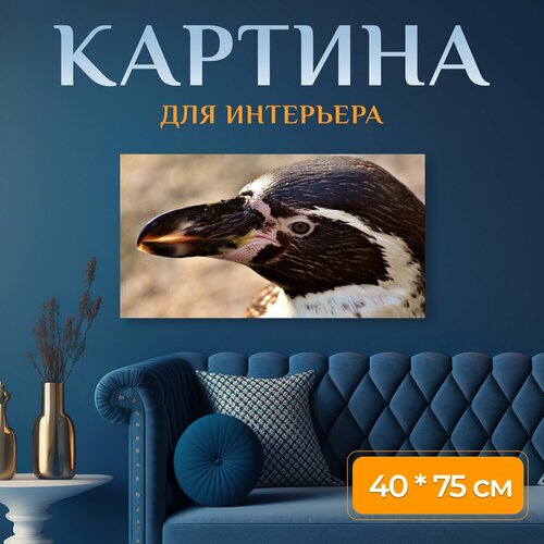Картина на холсте "Пингвин, животное, дикая природа" на подрамнике 75х40 см. для интерьера