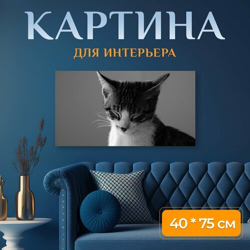 Картина на холсте "Кот, мечта, кошка с мечтой" на подрамнике 75х40 см. для интерьера
