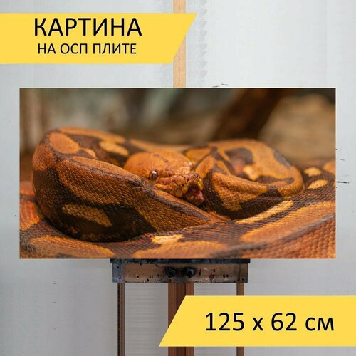 Картина на ОСП 125х62 см. "Боа, рептилия, змея" горизонтальная, для интерьера, с креплениями