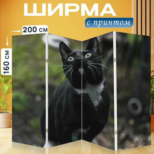 Ширма перегородка с принтом "Кошка, животные, природа" на холсте - 200x160 см. для зонирования, раскладная
