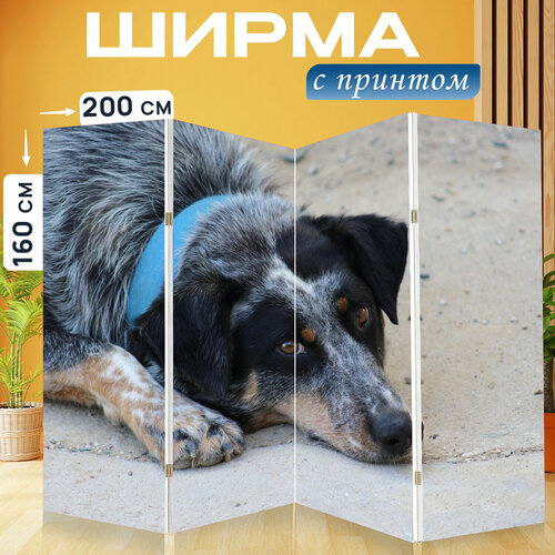 Ширма перегородка с принтом "Собака, животное, млекопитающее" на холсте - 200x160 см. для зонирования, раскладная