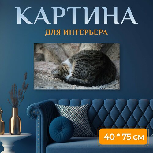 Картина на холсте "Кошка, милый кот, спящая кошка" на подрамнике 75х40 см. для интерьера