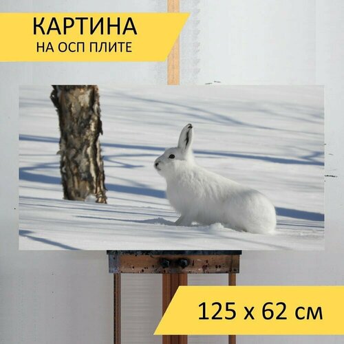 Картина на ОСП 125х62 см. "Заяц, зима, снег" горизонтальная, для интерьера, с креплениями