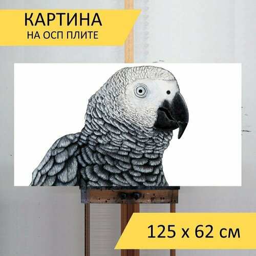 Картина на ОСП 125х62 см. "Серый, попугай, милый" горизонтальная, для интерьера, с креплениями