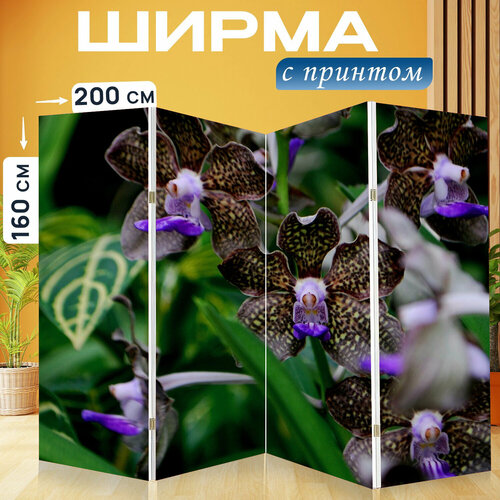 Ширма перегородка с принтом "Орхидея, фиолетовый, цветок" на холсте - 200x160 см. для зонирования, раскладная