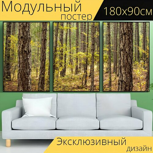 Модульный постер "Лес, деревья, осень" 180 x 90 см. для интерьера