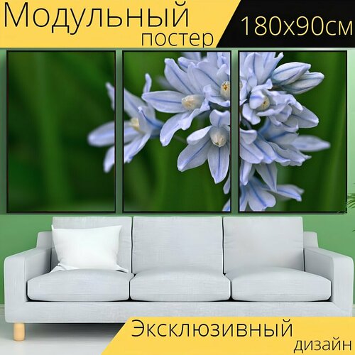 Модульный постер "Сад, пушкине, весенний цветок" 180 x 90 см. для интерьера