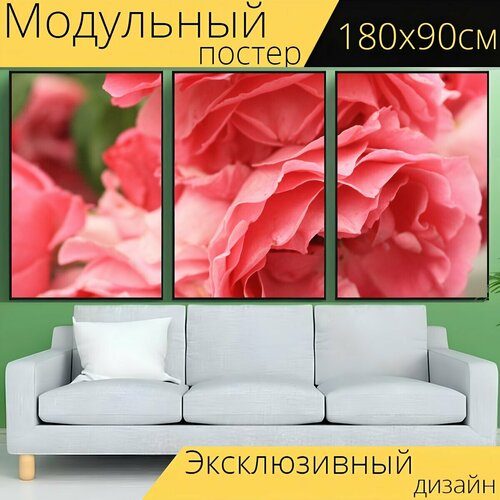 Модульный постер "Роза, лепестки, цветок" 180 x 90 см. для интерьера