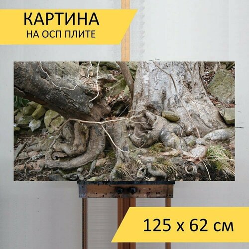 Картина на ОСП 125х62 см. "Корень, корявый, корни деревьев" горизонтальная, для интерьера, с креплениями