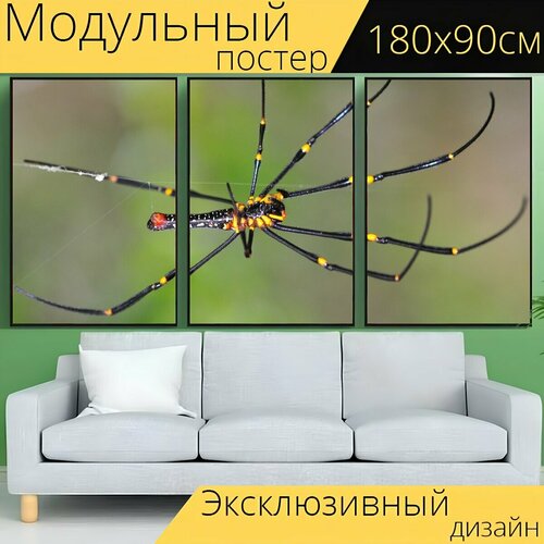 Модульный постер "Паук, насекомое, паукообразный" 180 x 90 см. для интерьера