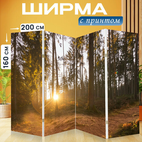 Ширма перегородка с принтом "Лес, леса, свет" на холсте - 200x160 см. для зонирования, раскладная