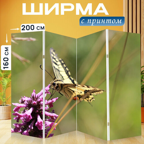 Ширма перегородка с принтом "Бабочка, природа, цветок" на холсте - 200x160 см. для зонирования, раскладная