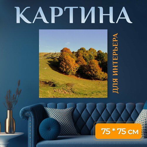 Картина на холсте "Экскурсия, деревья, осень" на подрамнике 75х75 см. для интерьера