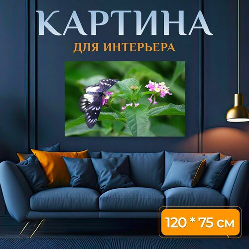 Картина на холсте "Бабочка, природа, цветок" на подрамнике 120х75 см. для интерьера