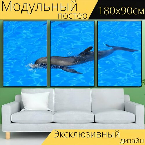 Модульный постер "Дельфин, аквариум, дельфинарий" 180 x 90 см. для интерьера
