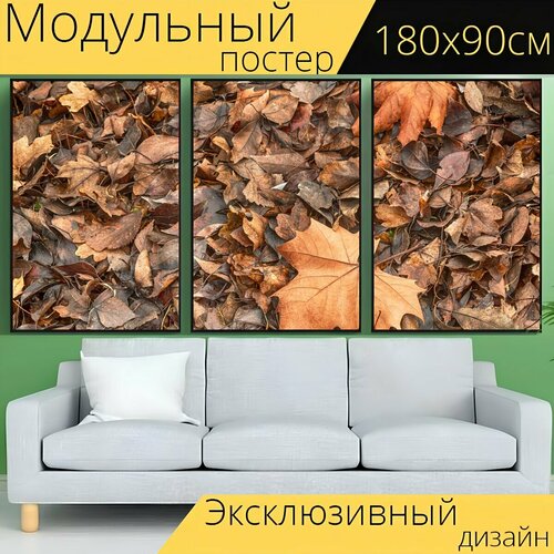 Модульный постер "Осень, осенние листья, браун" 180 x 90 см. для интерьера