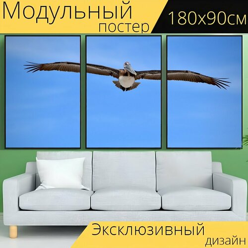 Модульный постер "Пеликан, летать, птица" 180 x 90 см. для интерьера