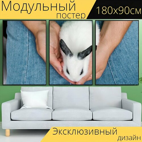 Модульный постер "Животное, кролик, заяц" 180 x 90 см. для интерьера