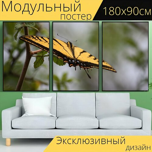 Модульный постер "Бабочка, природа, в" 180 x 90 см. для интерьера