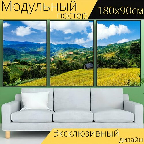 Модульный постер "Рисовые поля, полях, плантация" 180 x 90 см. для интерьера