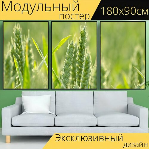 Модульный постер "Сельское хозяйство, зерновой, поле" 180 x 90 см. для интерьера