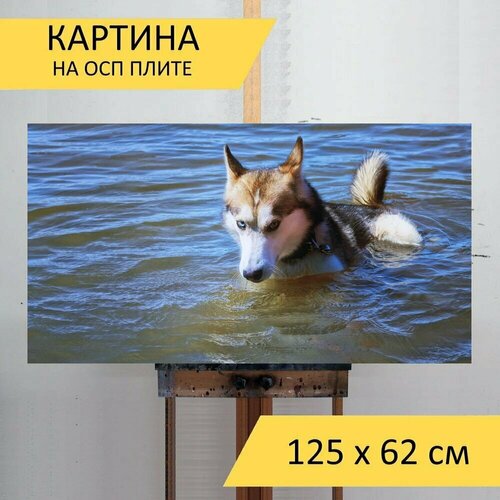 Картина на ОСП 125х62 см. "Хаски, собака, природа" горизонтальная, для интерьера, с креплениями