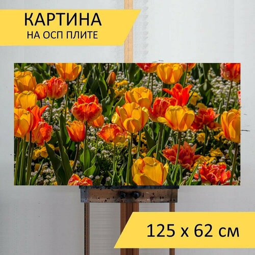 Картина на ОСП 125х62 см. "Тюльпаны, весна, декоративное растение" горизонтальная, для интерьера, с креплениями