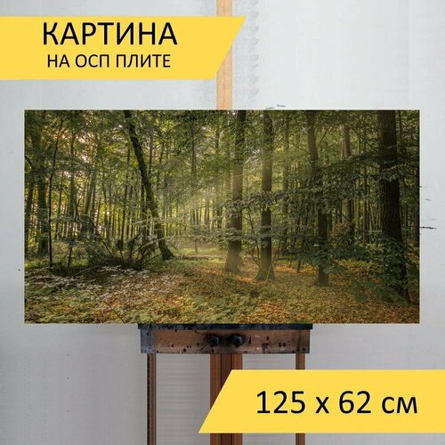 Картина на ОСП 125х62 см. "Лес, деревья, лучи света" горизонтальная, для интерьера, с креплениями