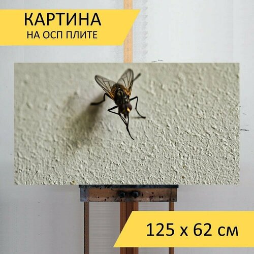 Картина на ОСП 125х62 см. "Летать, насекомое, насекомые" горизонтальная, для интерьера, с креплениями
