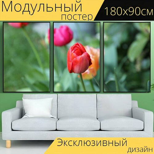 Модульный постер "Тюльпан, тюльпаны, красный тюльпан" 180 x 90 см. для интерьера