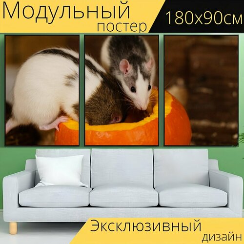 Модульный постер "Крысы, цветные крысы, милый" 180 x 90 см. для интерьера