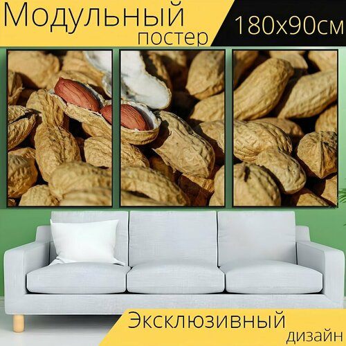 Модульный постер "Орехи, арахис, жареный" 180 x 90 см. для интерьера