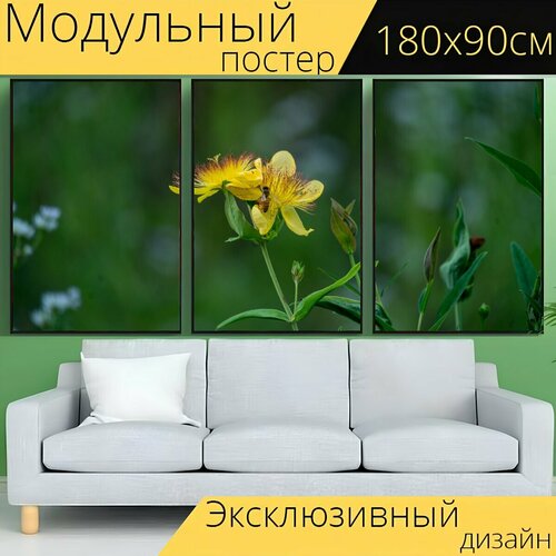 Модульный постер "Полевой цветок, желтый, цвет" 180 x 90 см. для интерьера