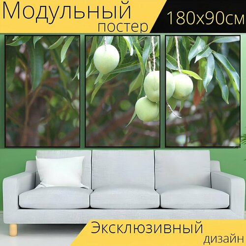 Модульный постер "Манго, фрукты, зеленый" 180 x 90 см. для интерьера