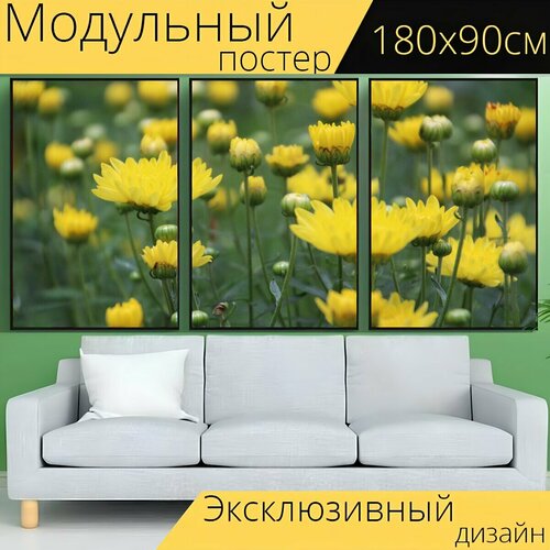 Модульный постер "Хризантема, цветы, цвести" 180 x 90 см. для интерьера