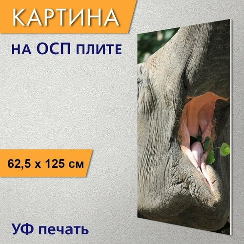 Вертикальная картина на ОСП "Слон, волк вниз, зоопарк" 62x125 см. для интерьериа